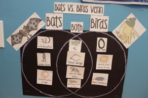 Our Crafts ~N~ Things » Road Trip USA